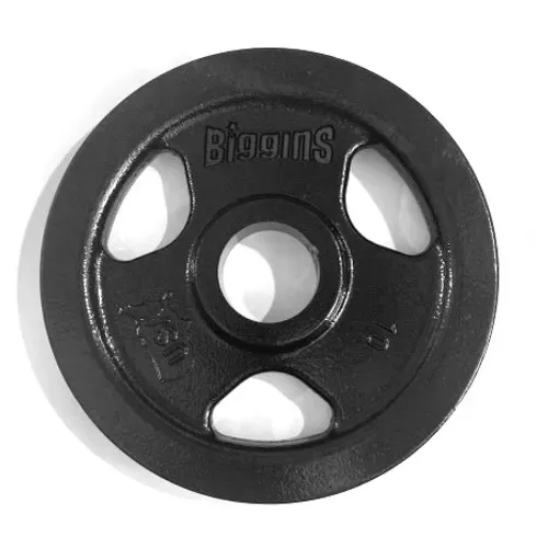 Biggins 2.0 - PAIR - 10lbs - Machined Cast Iron Training Plate